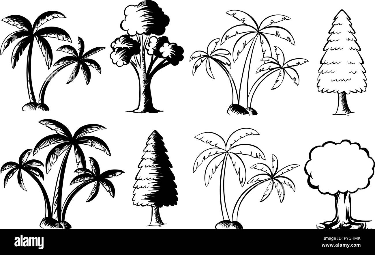 Types Of Trees High Resolution Stock Photography and Images - Alamy