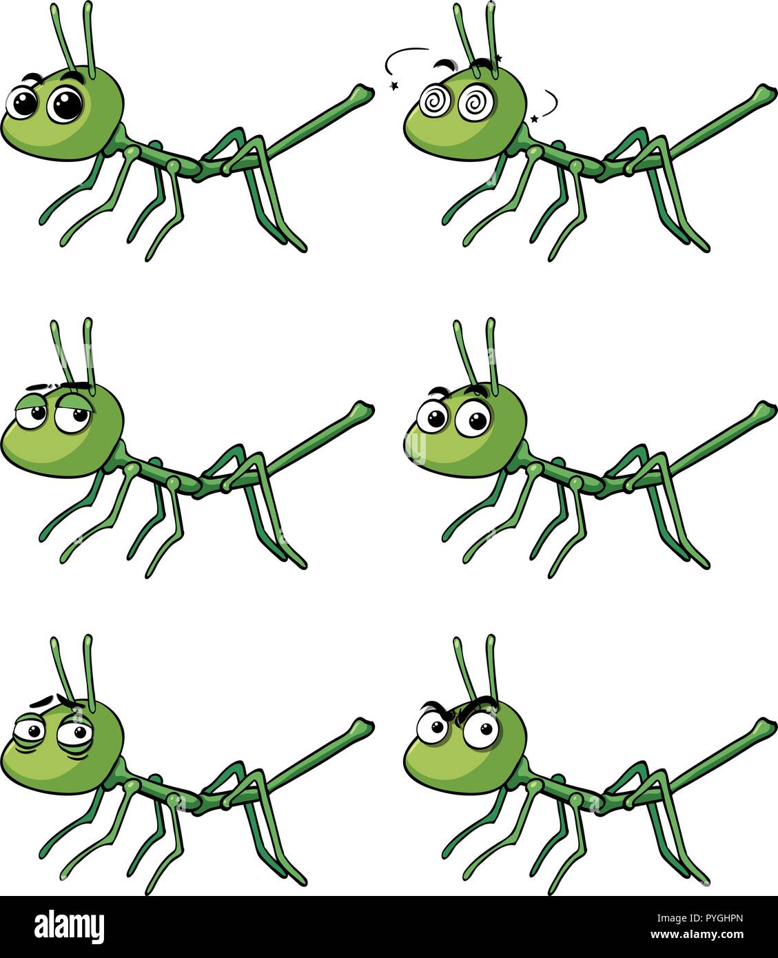 Walking Stick Insect Clip Art