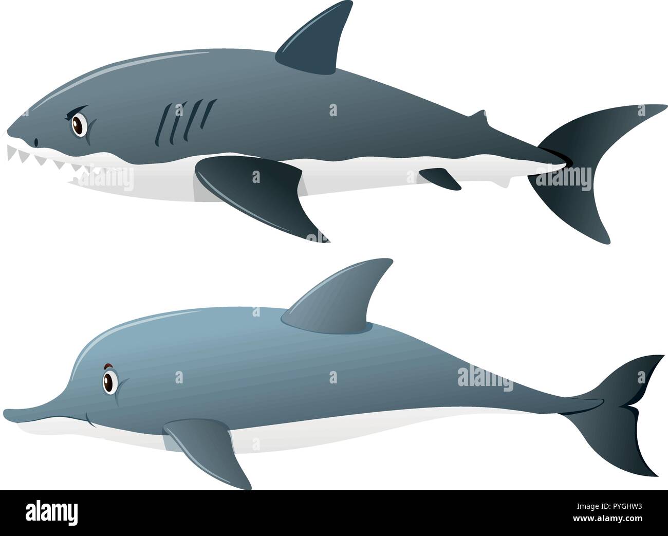 Gray shark and dolphin illustration Stock Vector Image & Art - Alamy
