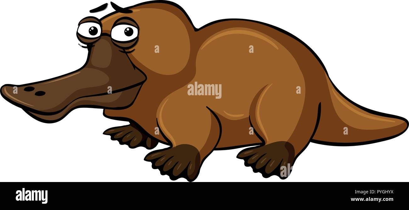 Platypus with sad face illustration Stock Vector Image & Art - Alamy