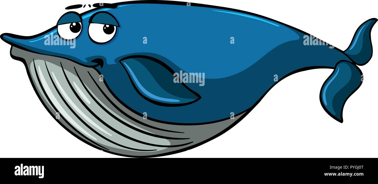 Whale with sad smile illustration Stock Vector Image & Art - Alamy