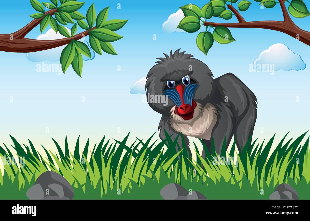 Baboon living in the forest illustration Stock Vector Image & Art - Alamy