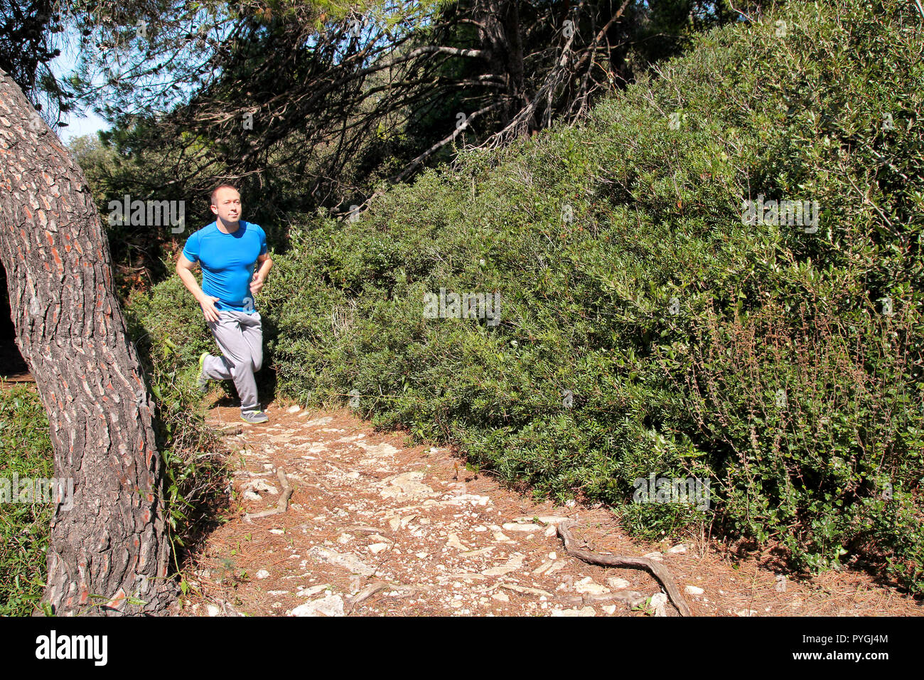 Fit runner man jogging for fitness running at running trail in ...