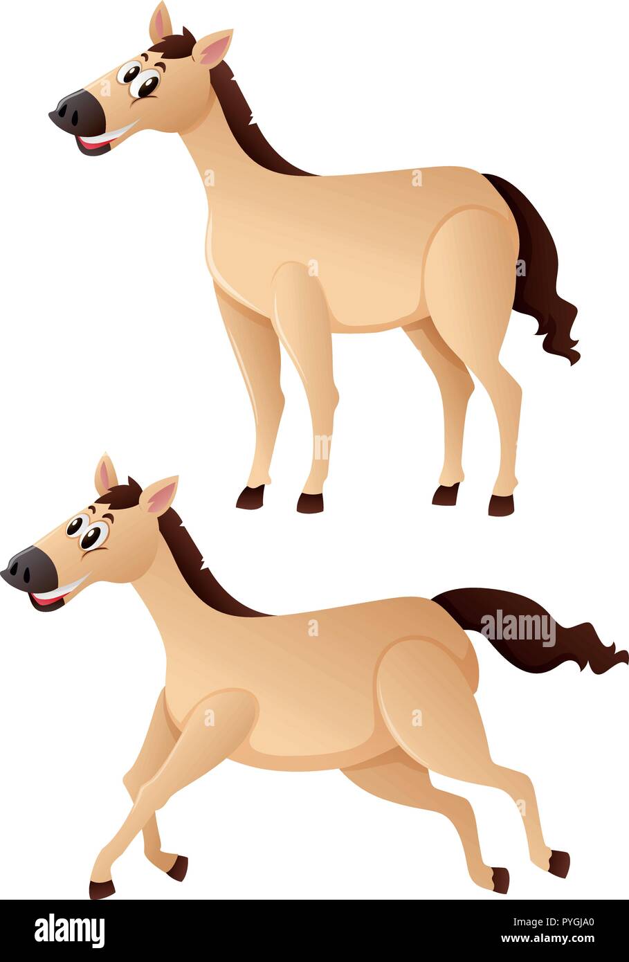 Horse in standing and running positions illustration Stock Vector Image ...