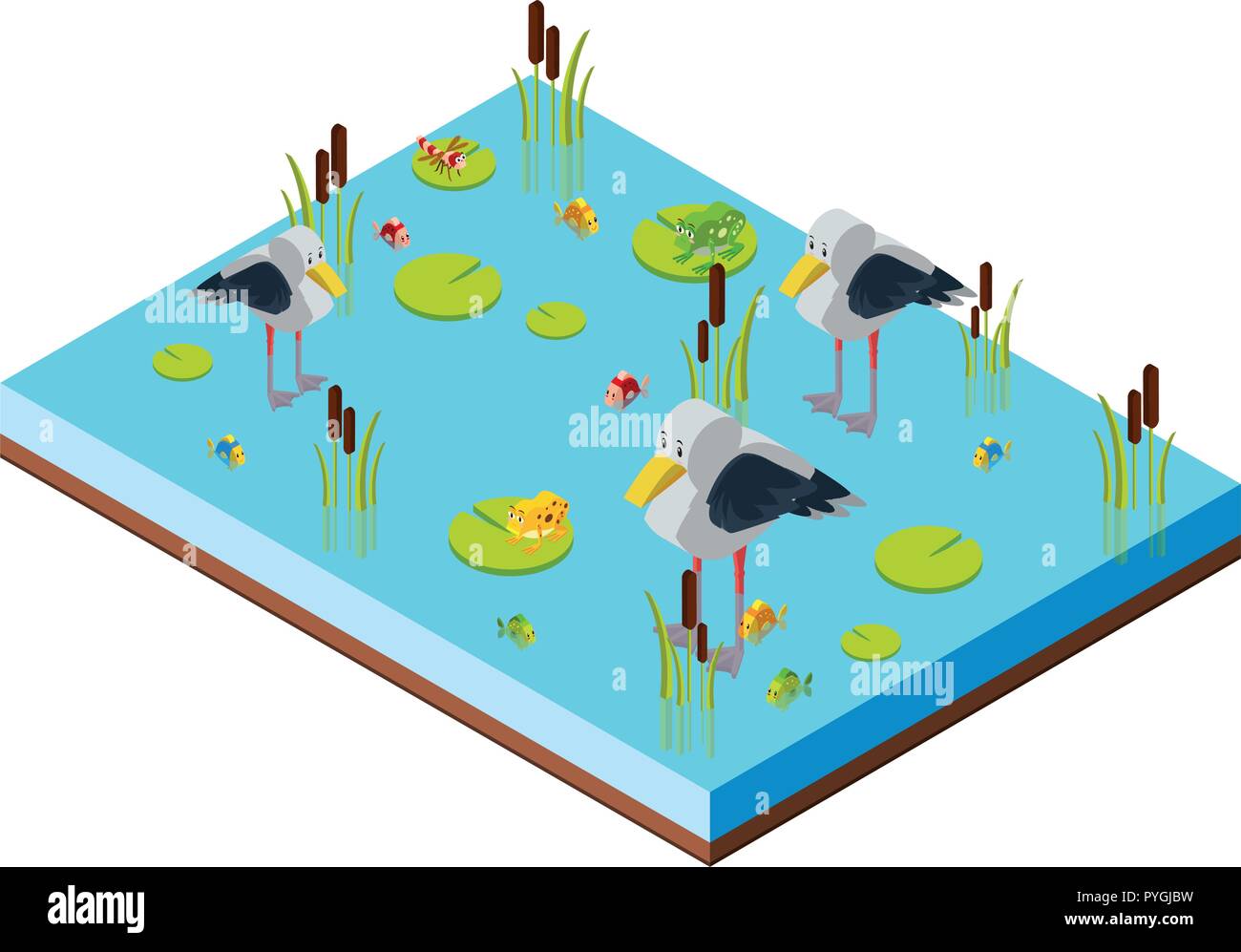 Pond scene with birds in 3D design illustration Stock Vector Image ...