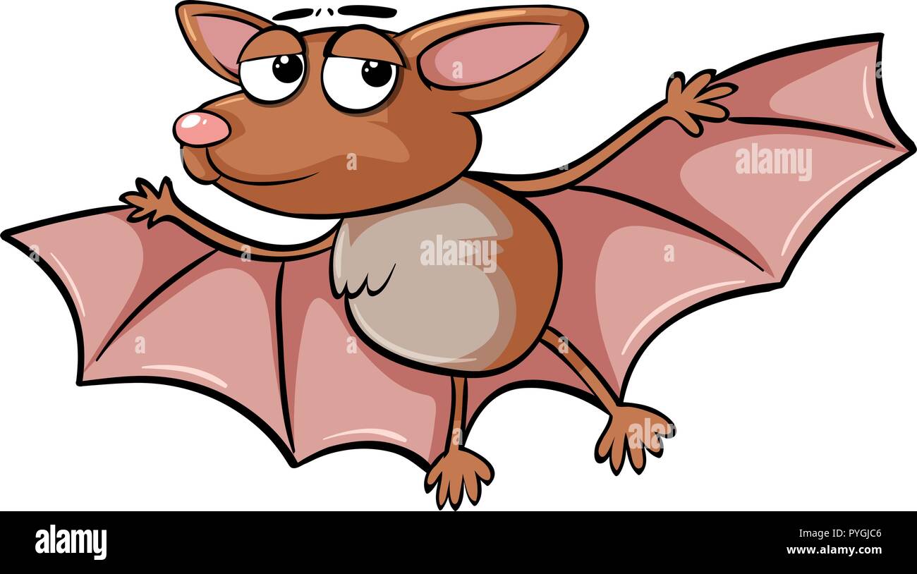 Bat flying on white background illustration Stock Vector Image & Art ...