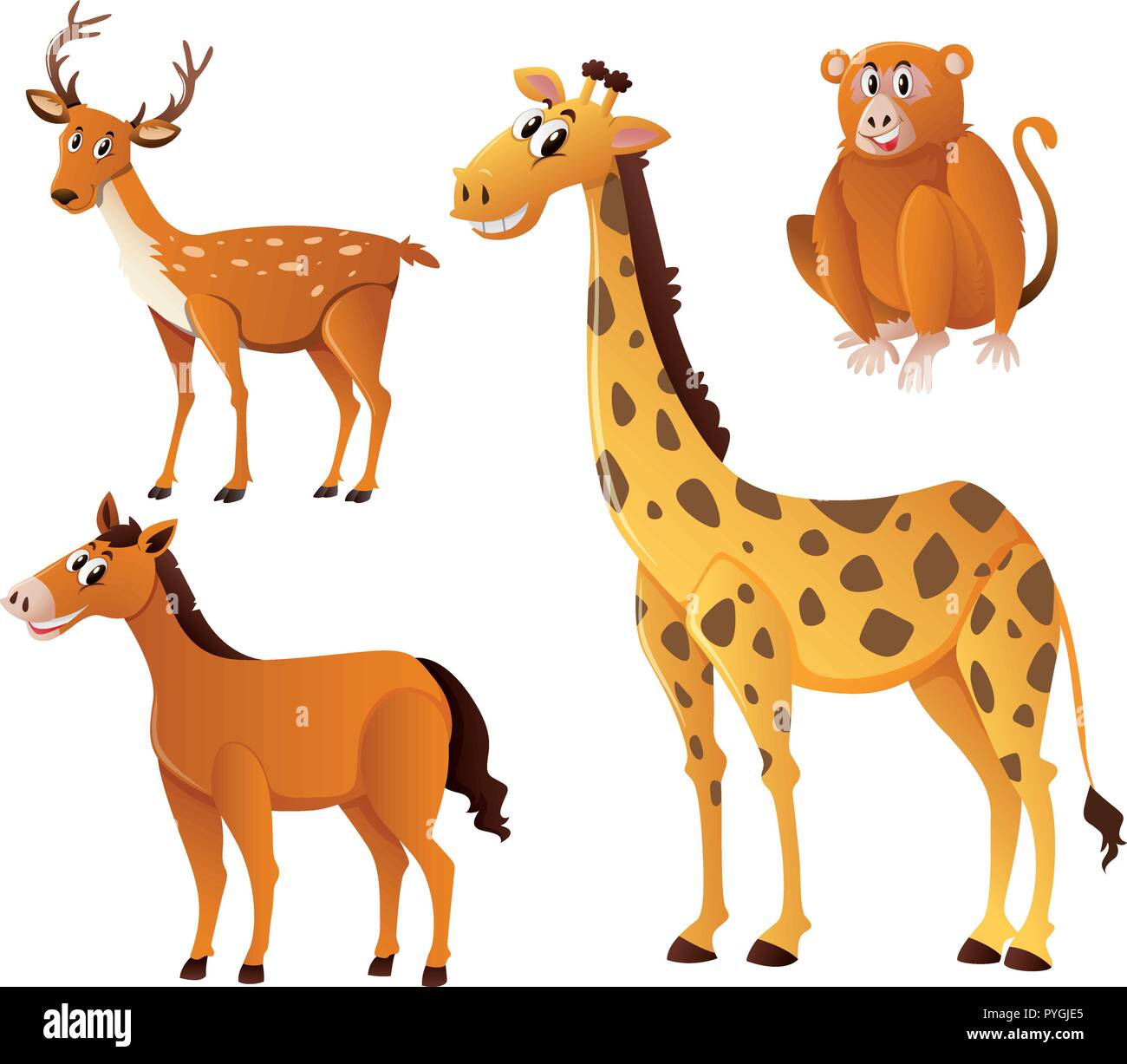 All kinds of fur hi-res stock photography and images - Alamy