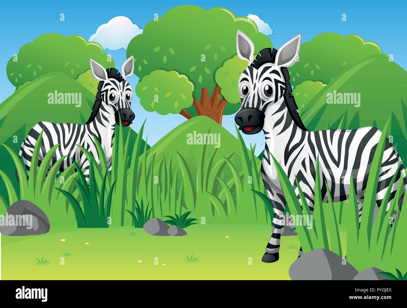 Two wild zebras in forest illustration Stock Vector Image & Art - Alamy