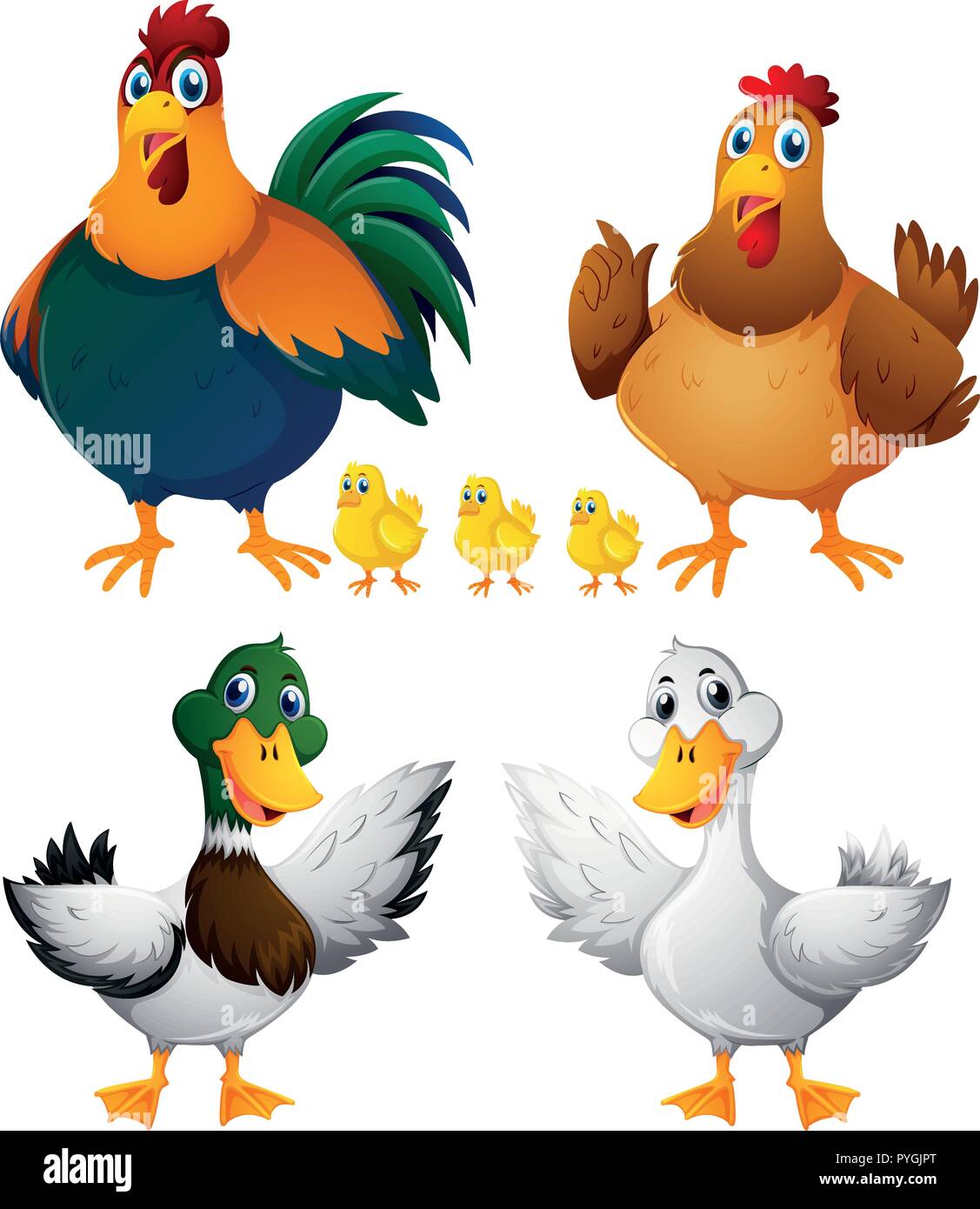 Chickens and ducks on white background illustration Stock Vector Image ...