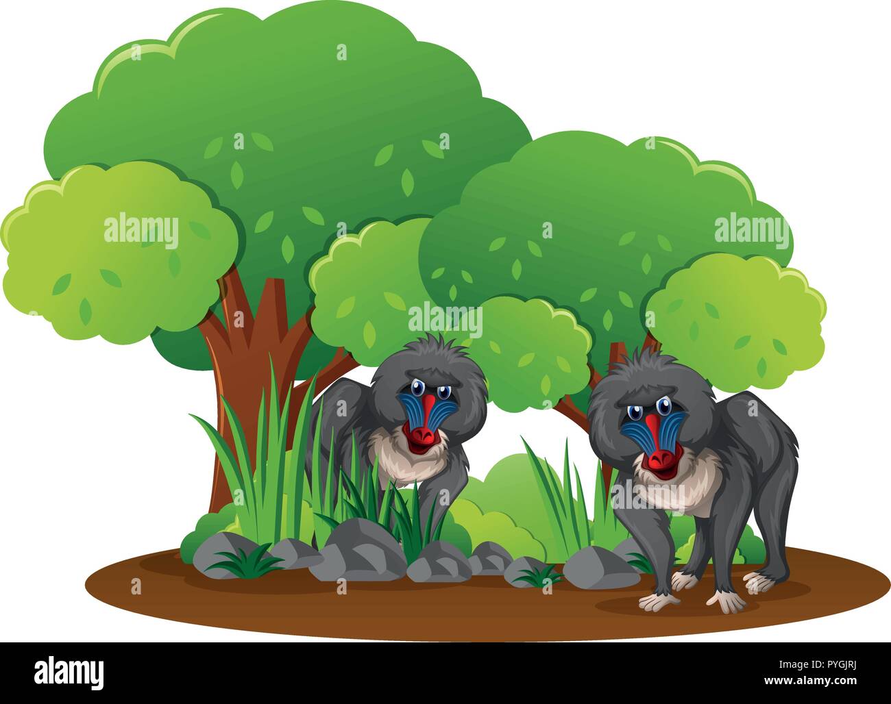 Baboons Stock Vector Images - Alamy