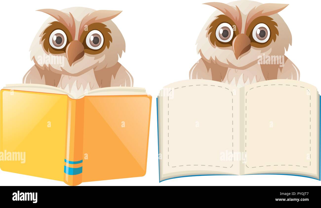 Two owls with book templates illustration Stock Vector Image & Art - Alamy