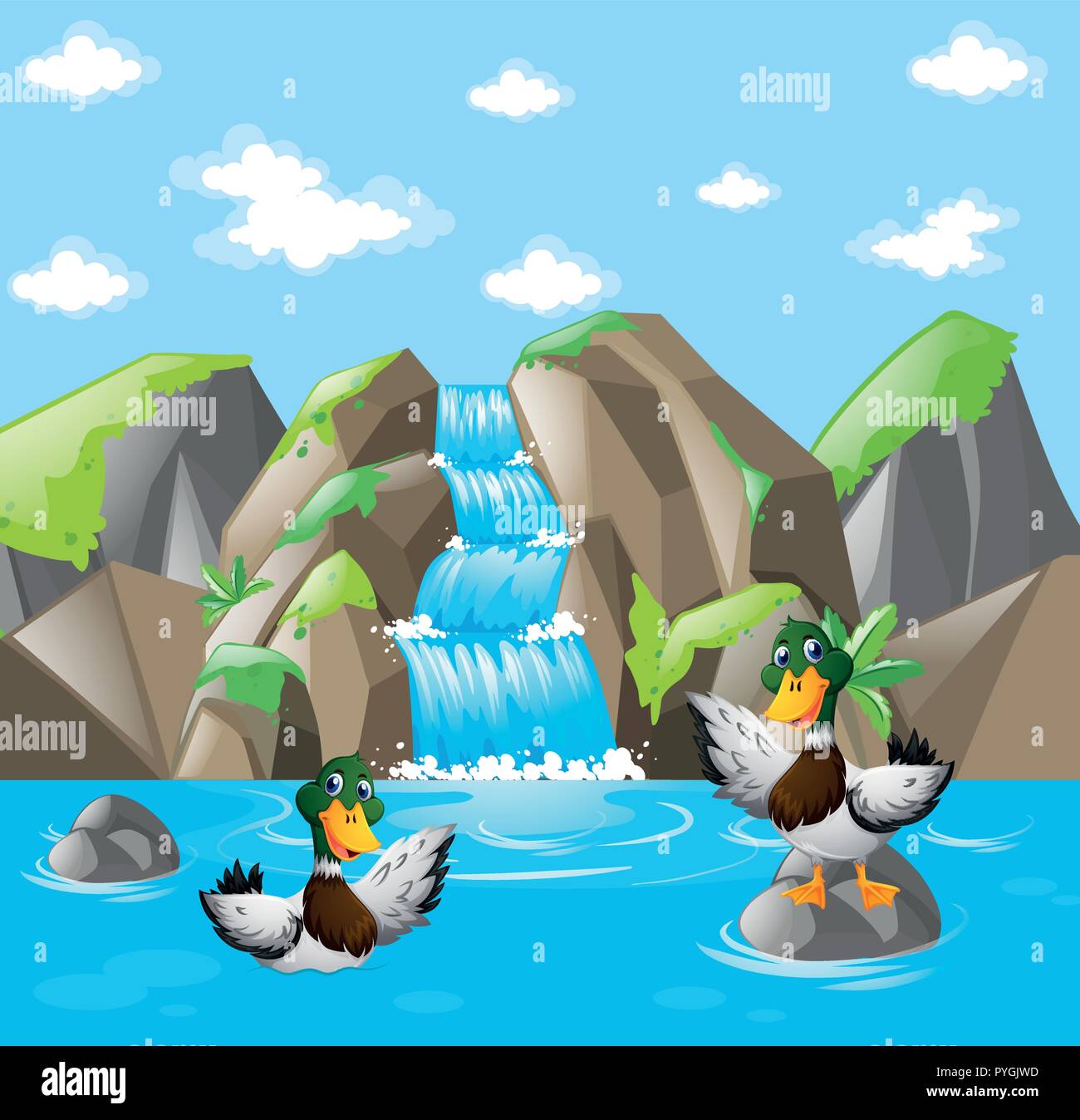 Two ducks playing in the water illustration Stock Vector Image & Art ...