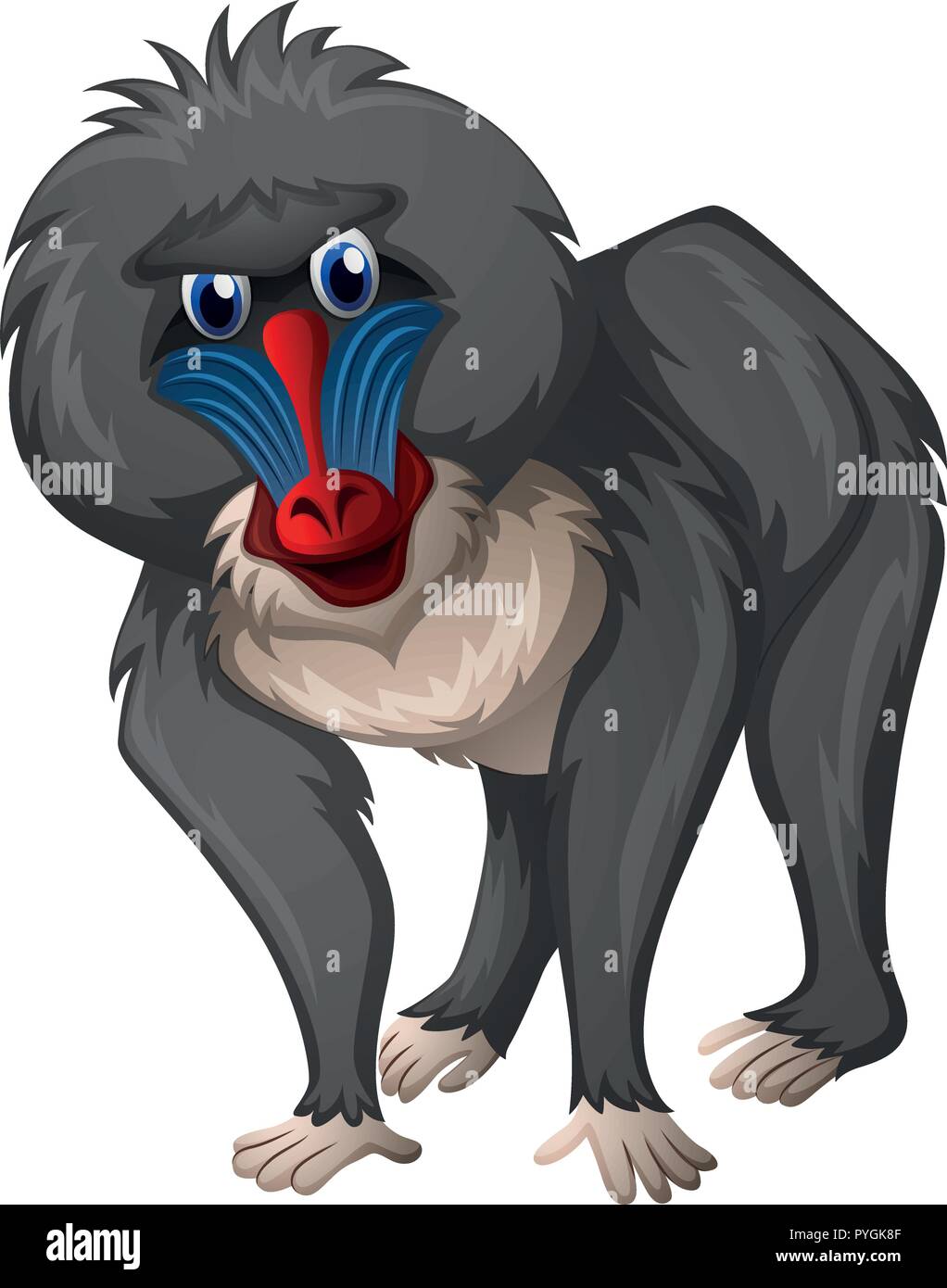 Wild baboon on white background illustration Stock Vector Image & Art ...