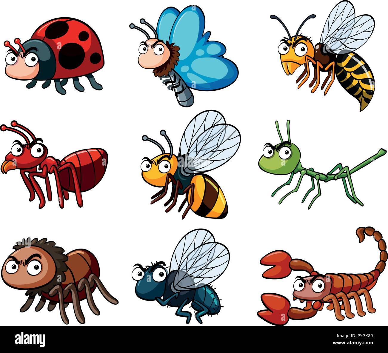 Different types of wild insects illustration Stock Vector Image & Art ...
