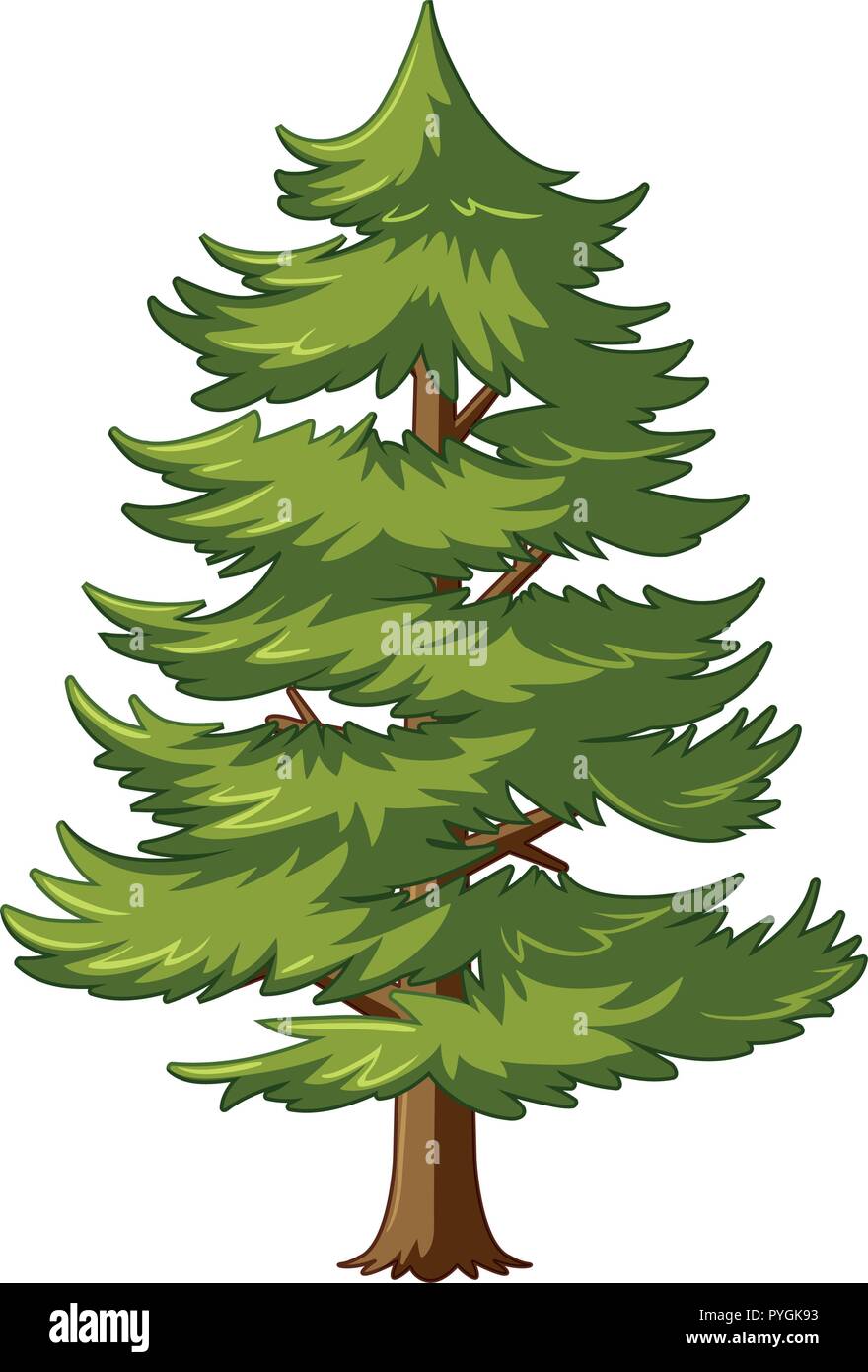 Pine tree with green leaves illustration Stock Vector Image & Art - Alamy