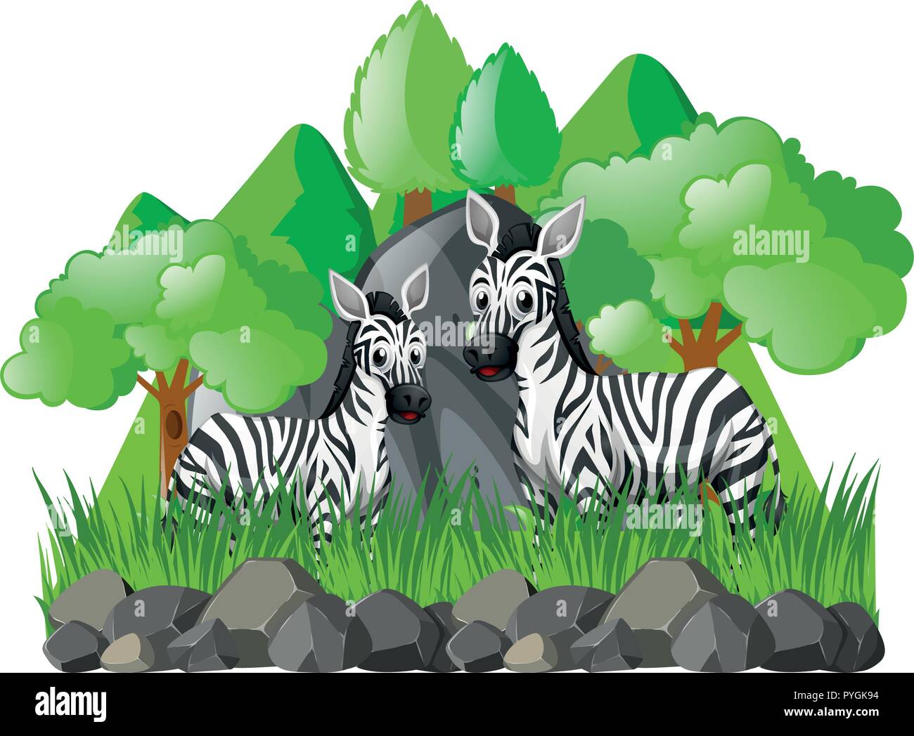 Two zebras in the forest illustration Stock Vector Image & Art - Alamy