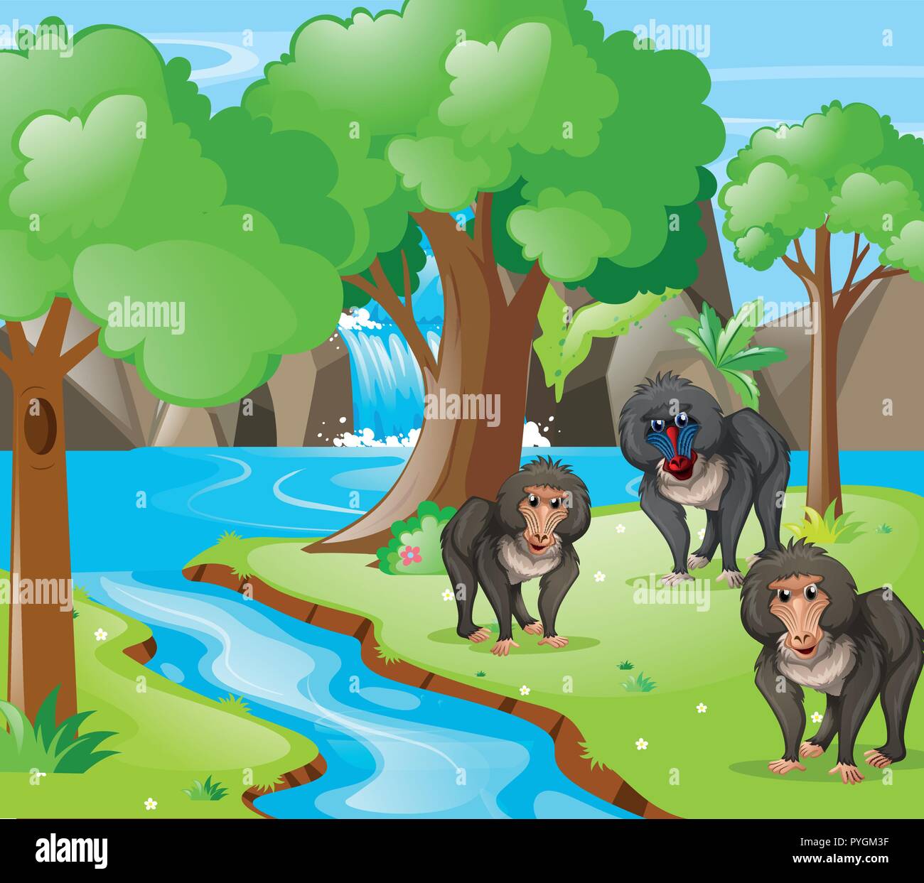 Baboon monkeys in the woods illustration Stock Vector Image & Art - Alamy