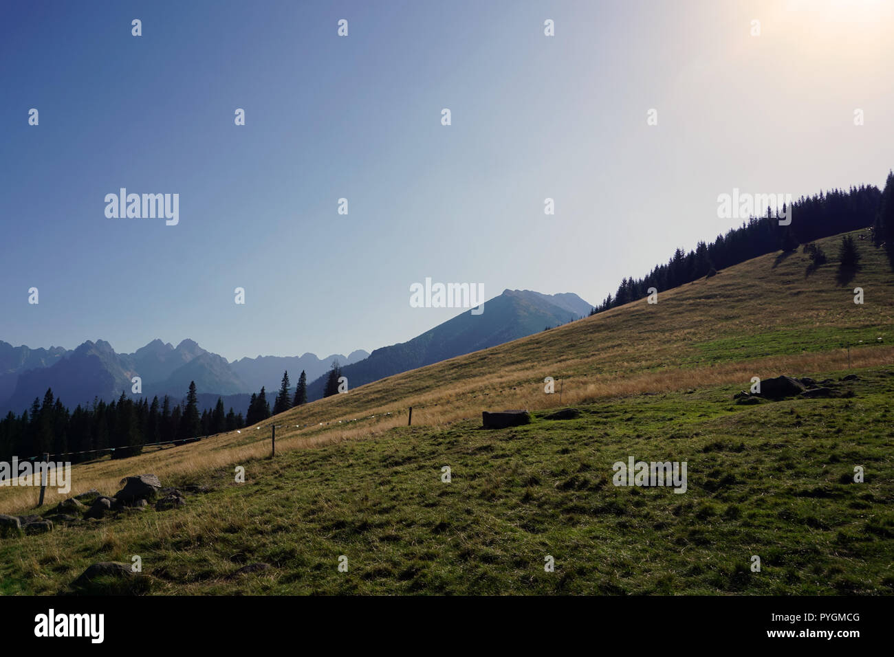 Mountain clearing hi-res stock photography and images - Alamy