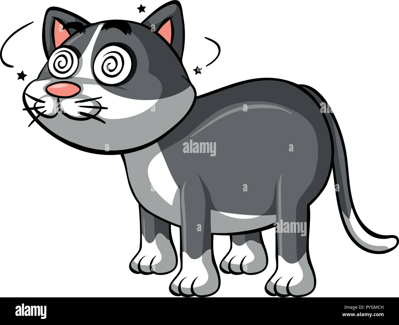 Gray cat with dizzy eyes illustration Stock Vector Image & Art - Alamy