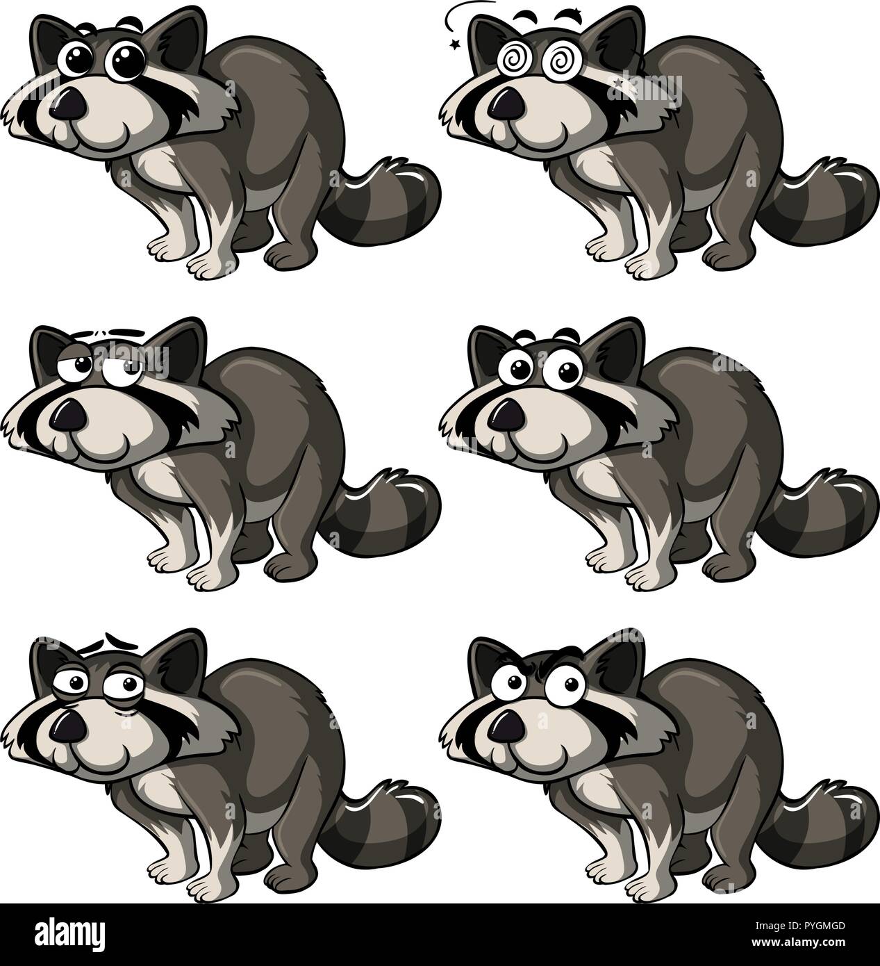 Sad raccoon face hi-res stock photography and images - Alamy