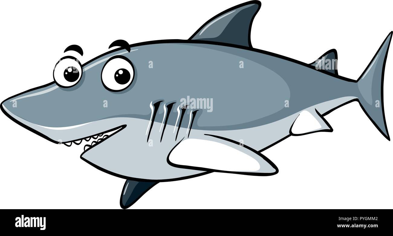 Gray shark on white background illustration Stock Vector Image & Art ...