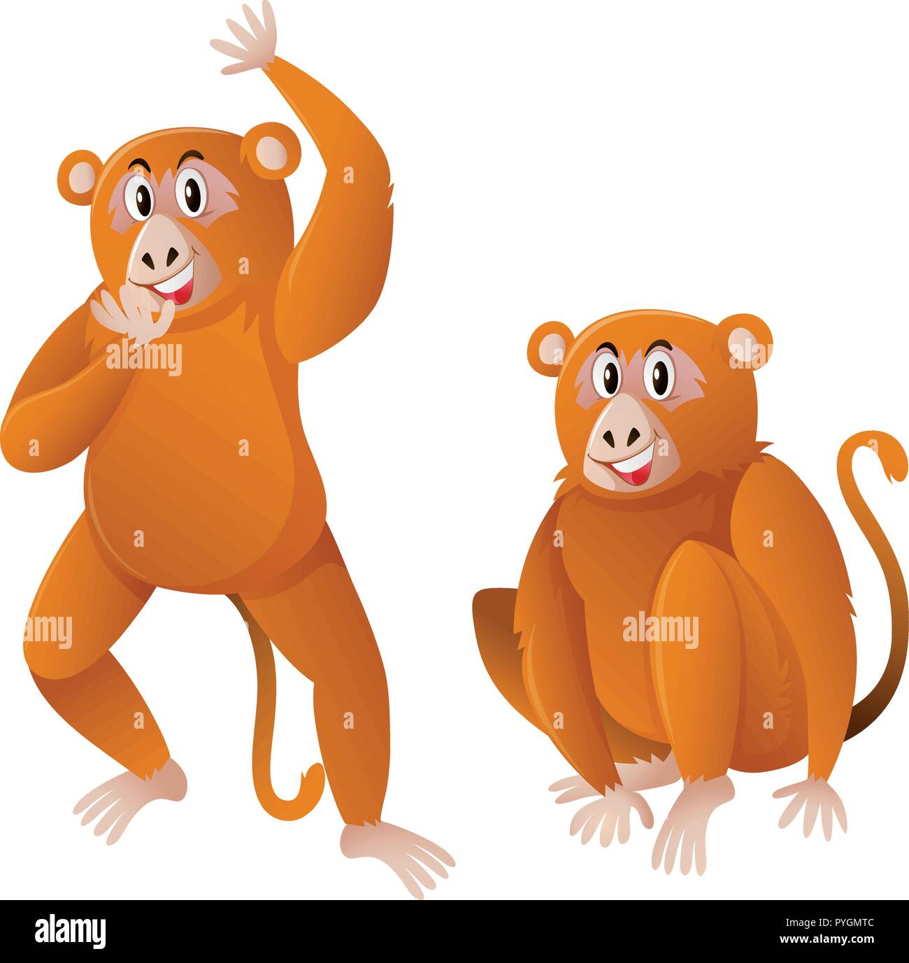 Two monkeys with brown fur illustration Stock Vector Image & Art - Alamy