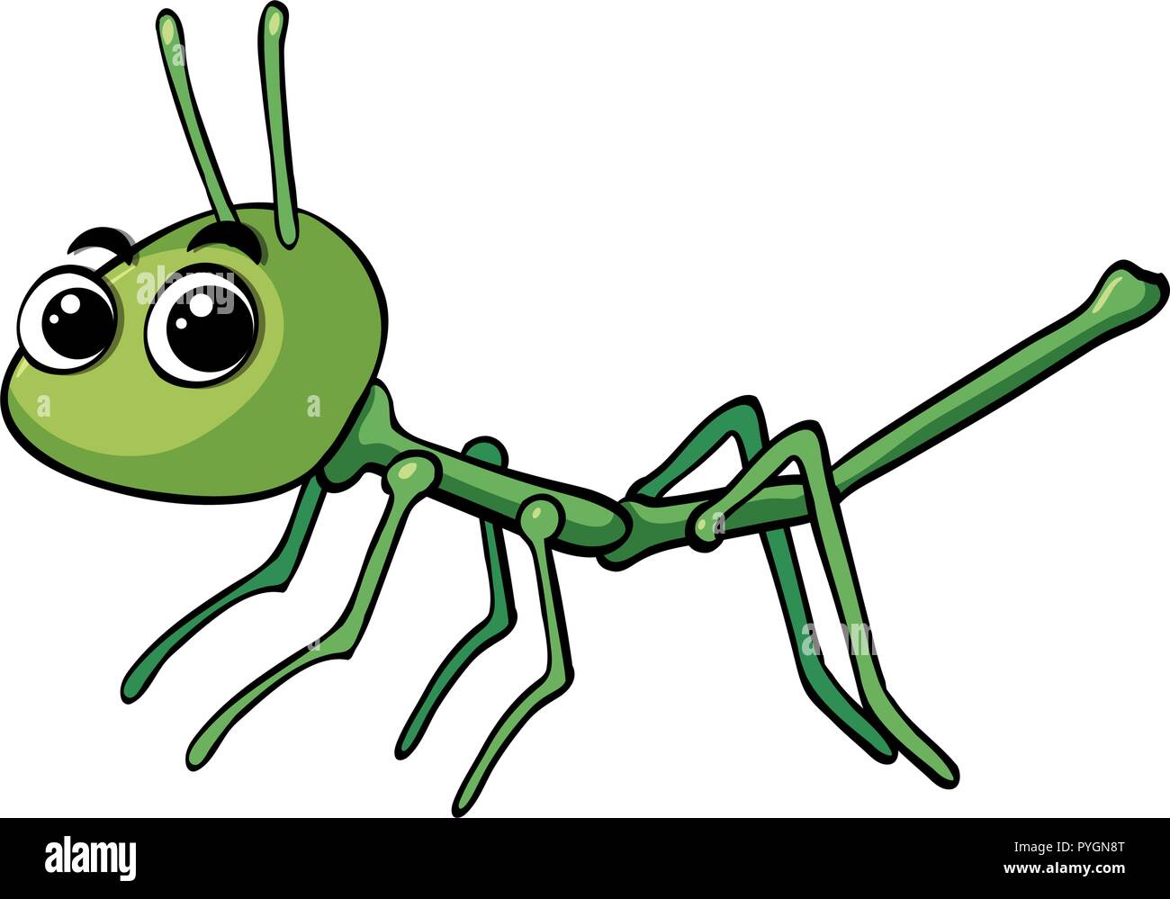Stickinsect on white background illustration Stock Vector Image & Art ...