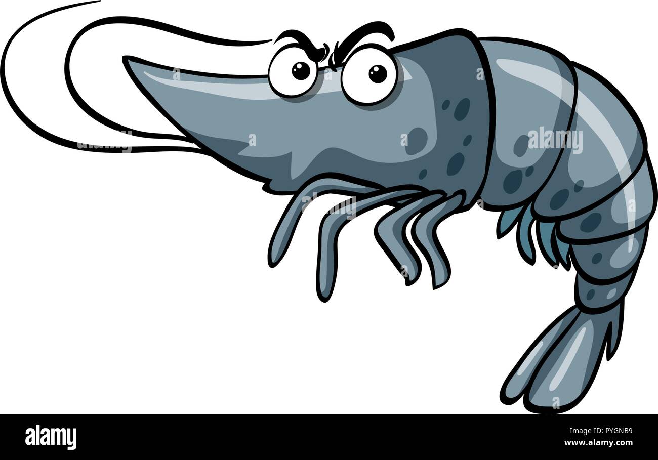 Shrimp in gray shell illustration Stock Vector Image & Art - Alamy