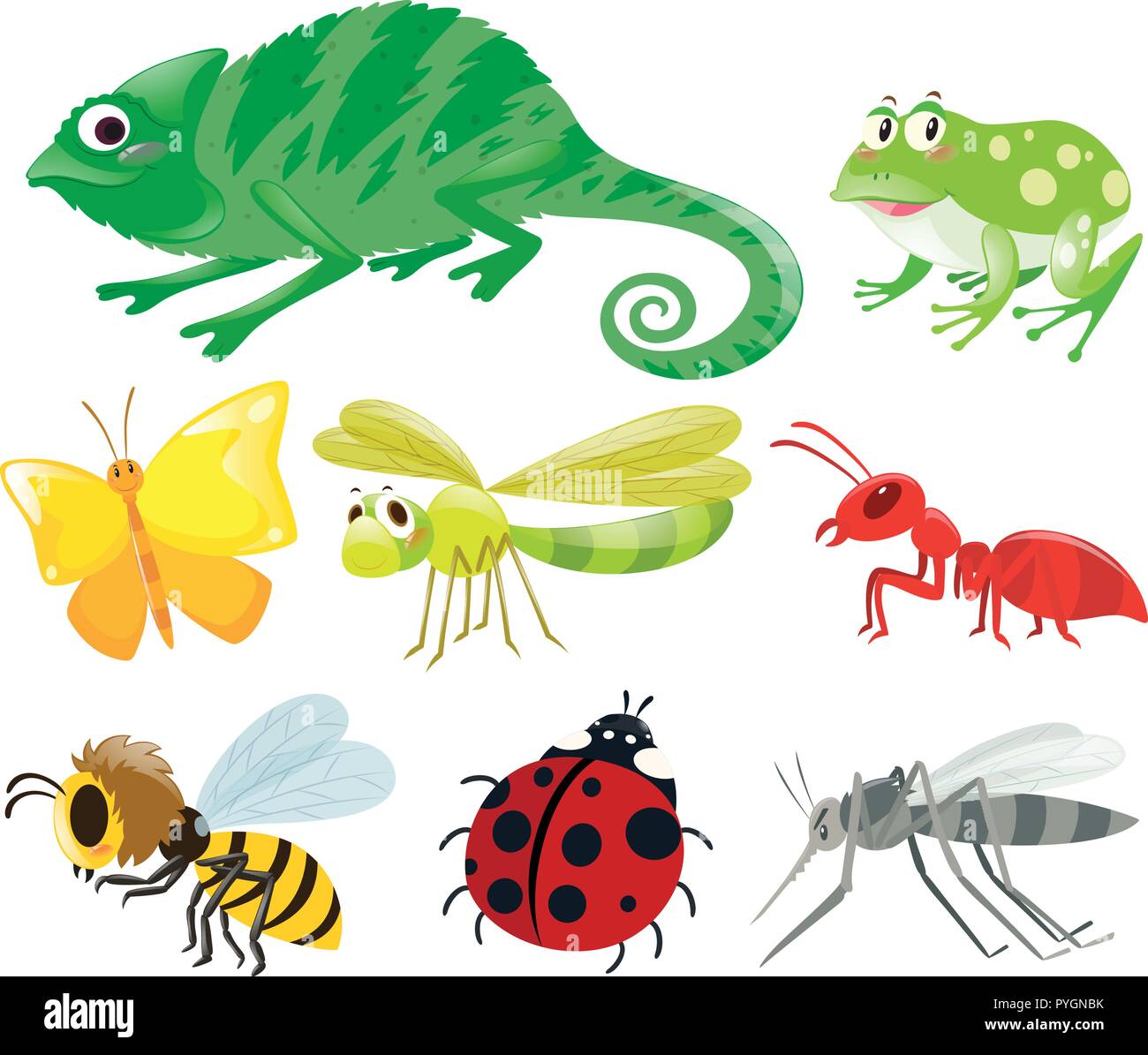 Different types of insects illustration Stock Vector Image & Art - Alamy