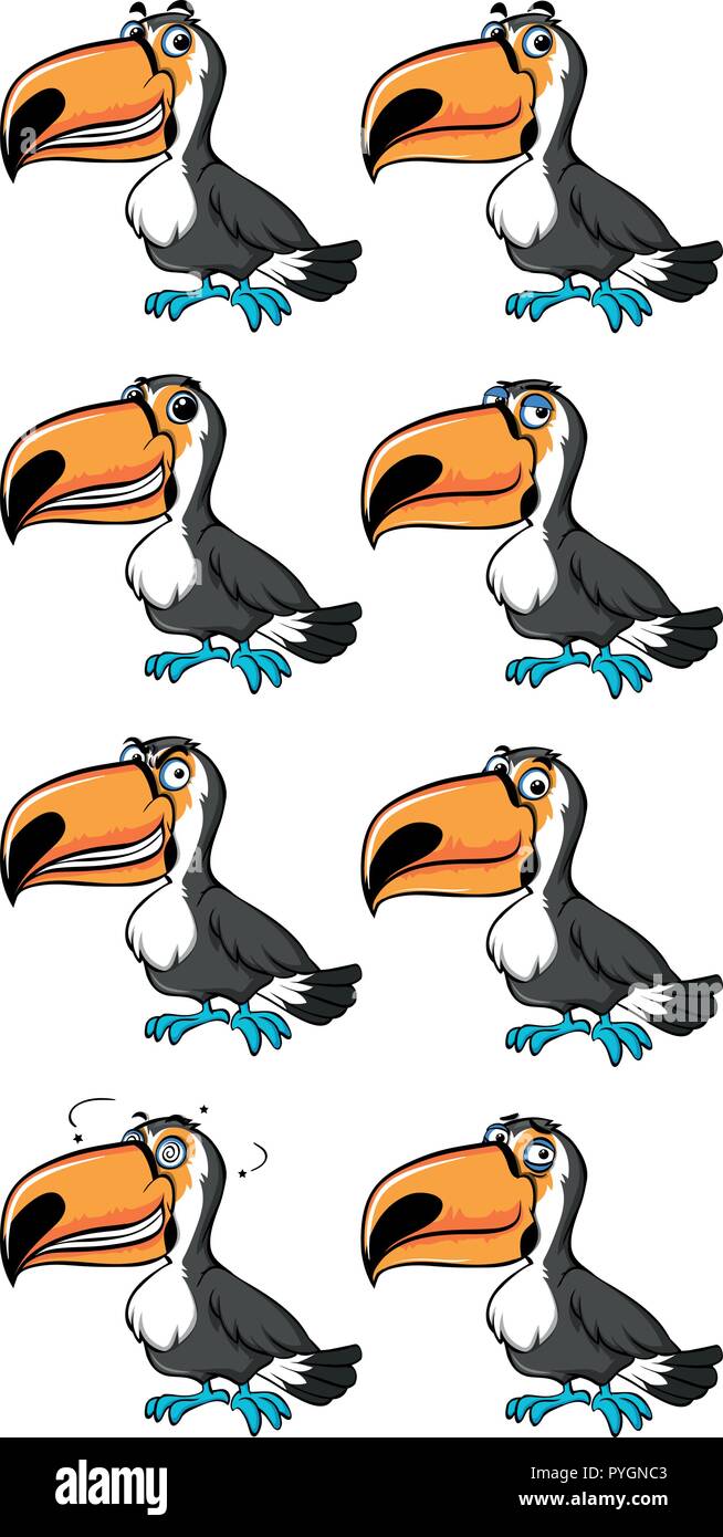 Mad toucan hi-res stock photography and images - Alamy
