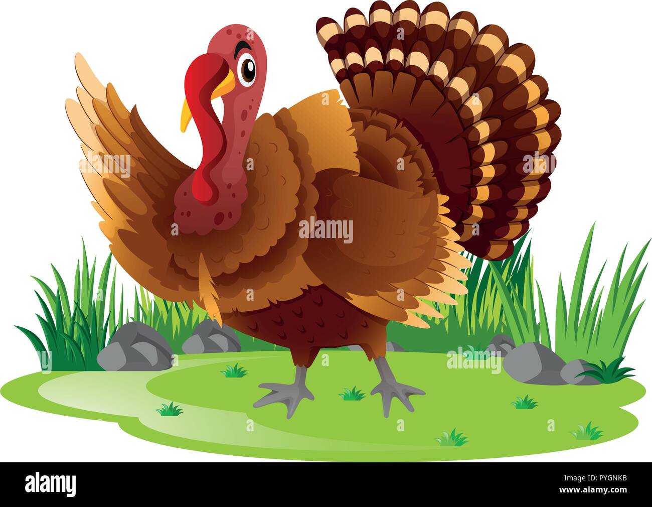 Wild turkey in nature Stock Vector Images - Alamy