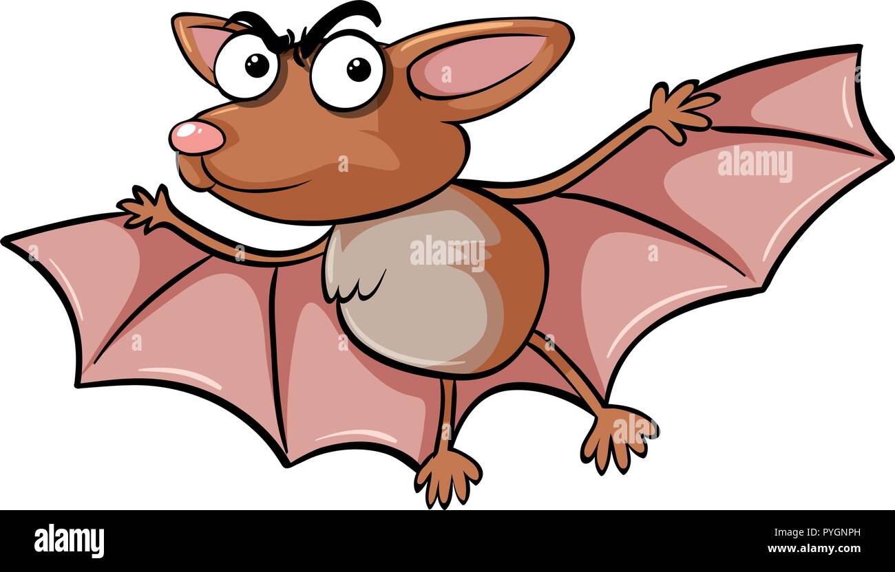 Bat with serious face illustration Stock Vector Image & Art - Alamy