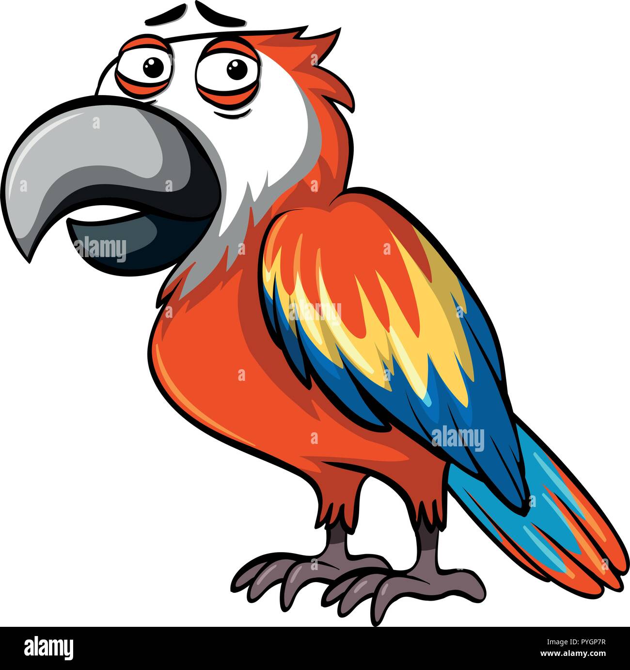 Parrot with serious face illustration Stock Vector Image & Art - Alamy