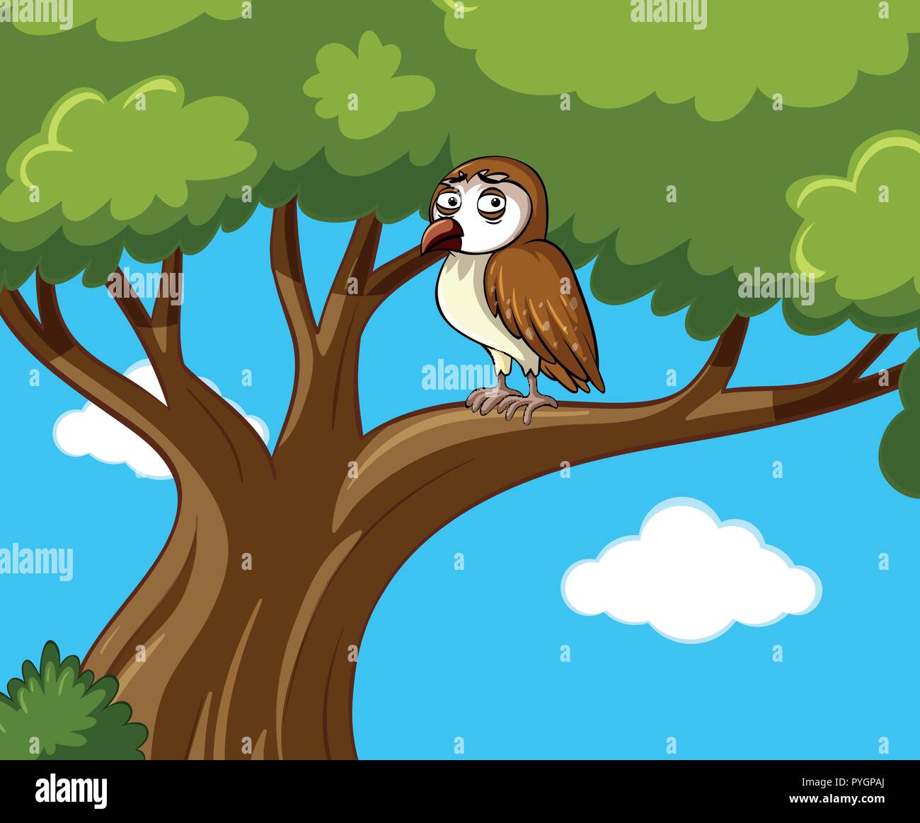 Brown owl on the branch illustration Stock Vector Image & Art - Alamy