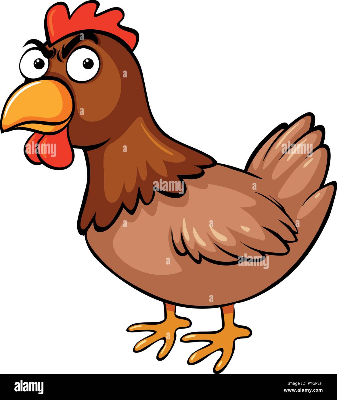 Hen face illustration vector Stock Vector Images - Alamy