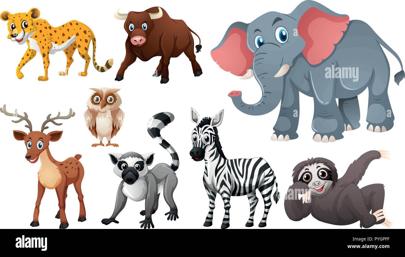 Many wild animals on white background illustration Stock Vector Image ...