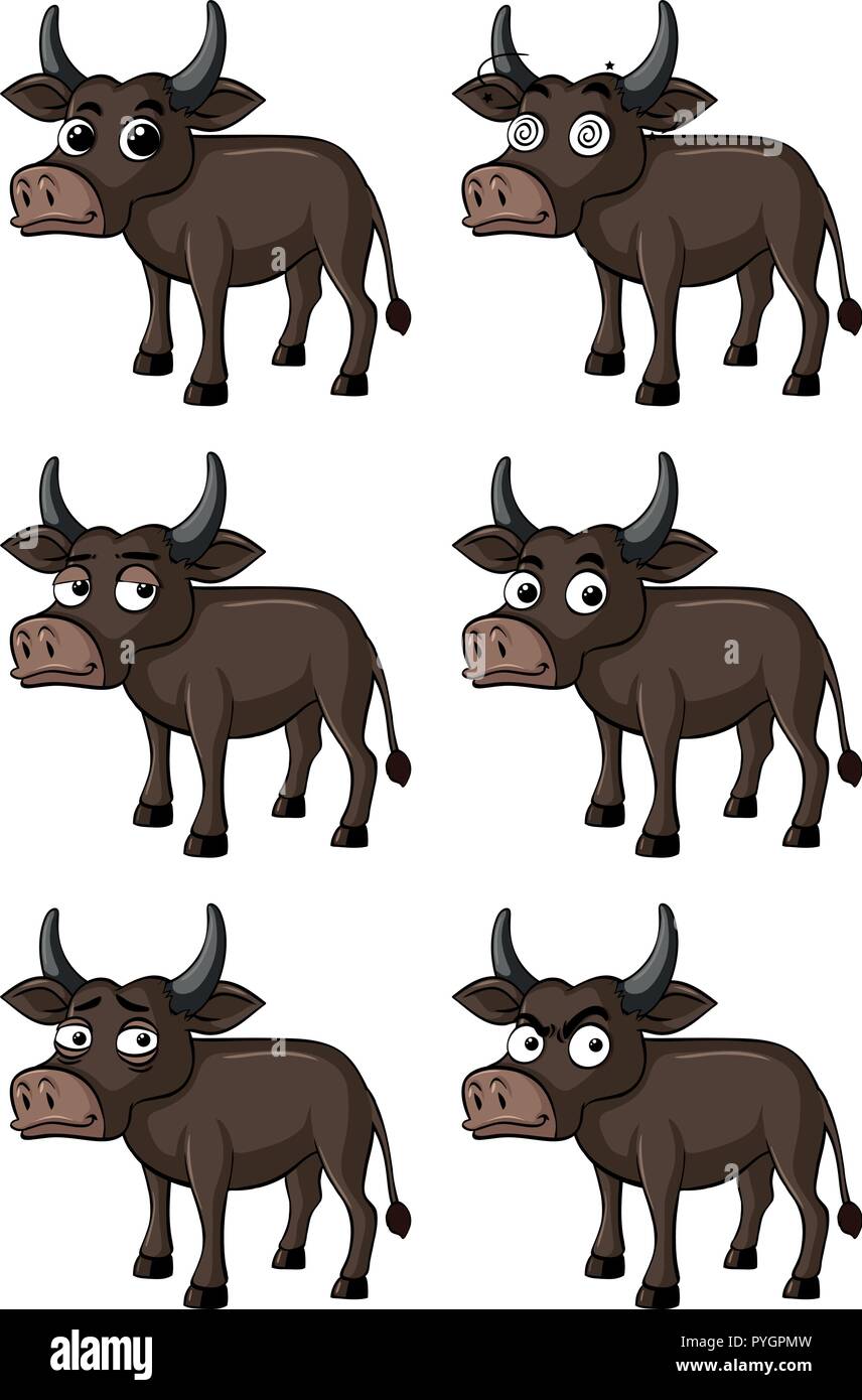 Wild buffalo with different facial expressions illustration Stock ...