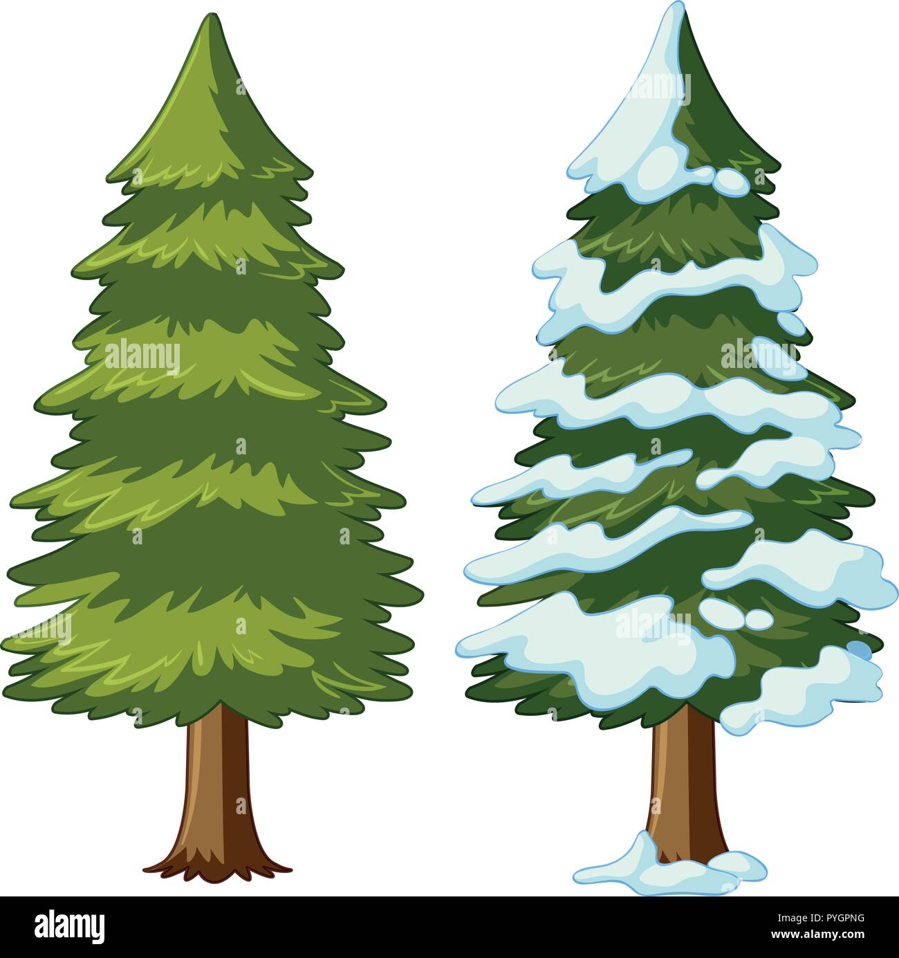 Two pine trees with and without snow illustration Stock Vector Image ...