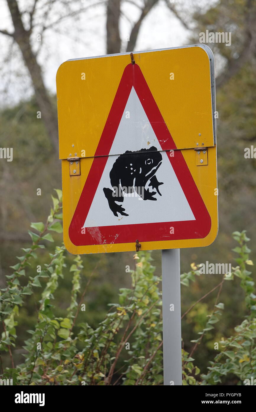 Frog crossing road warning traffic sign Stock Photo - Alamy