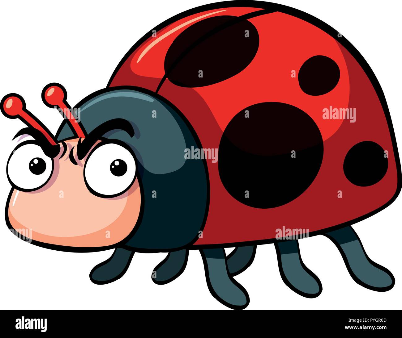 Angry ladybug on white background illustration Stock Vector Image & Art ...