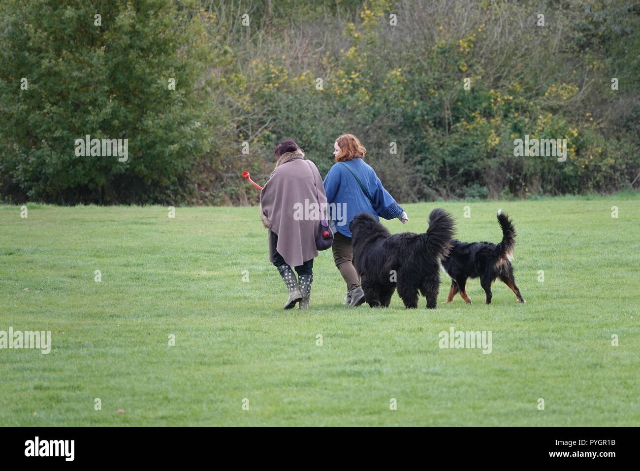 Two women walking their dogs across green grass Stock Photo - Alamy