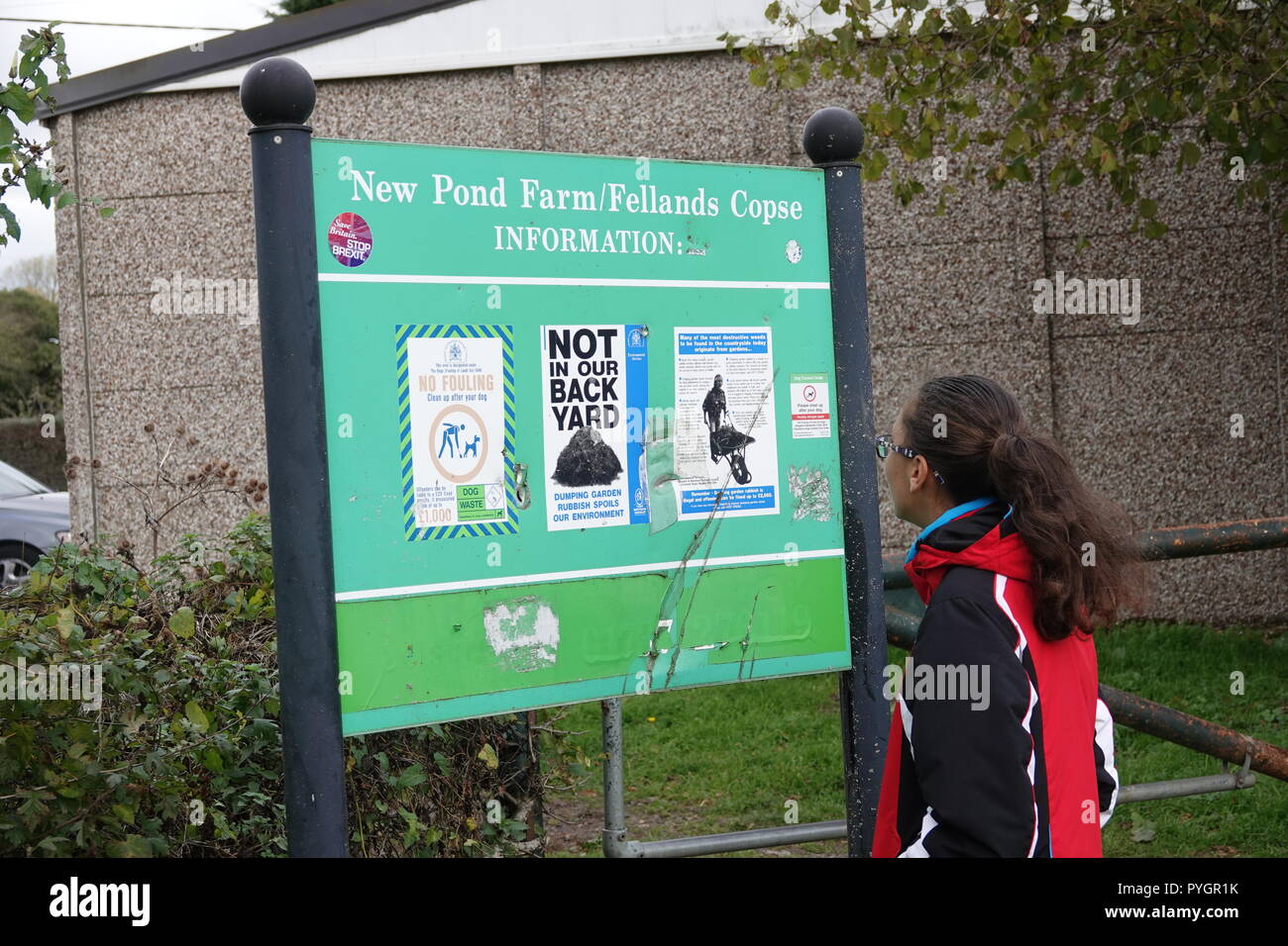 Girl reads old damaged information board warnings and rules Stock Photo ...