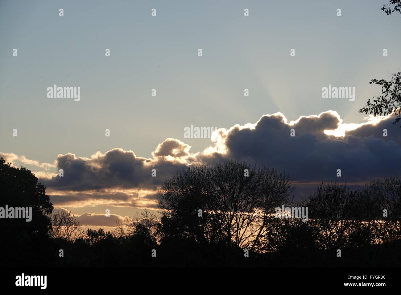 Sunset sky in Surrey, UK Stock Photo - Alamy