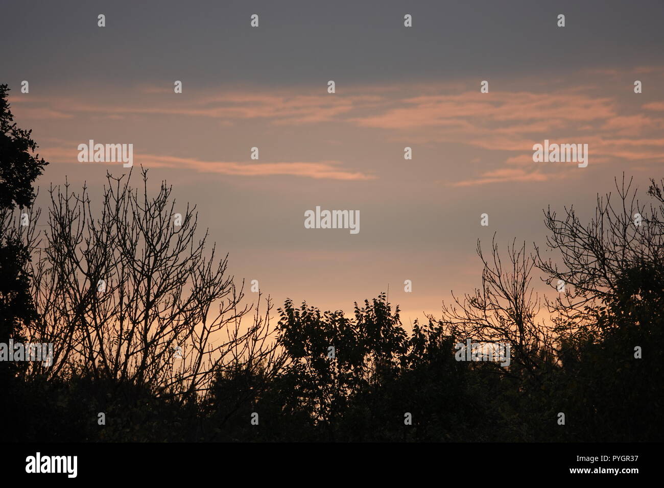 Sunset sky in Surrey, UK Stock Photo - Alamy