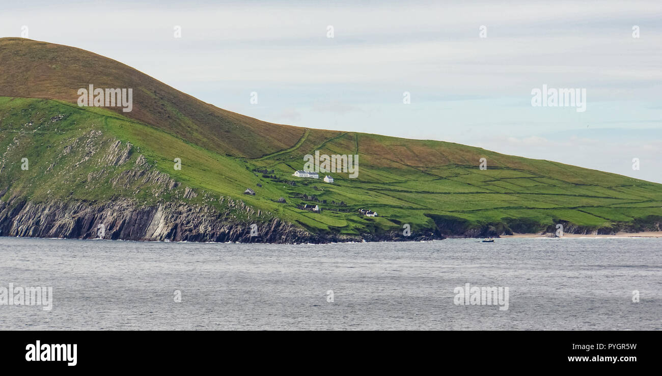 green fields along rugged Irish ocean coastline of cliffs Stock Photo ...