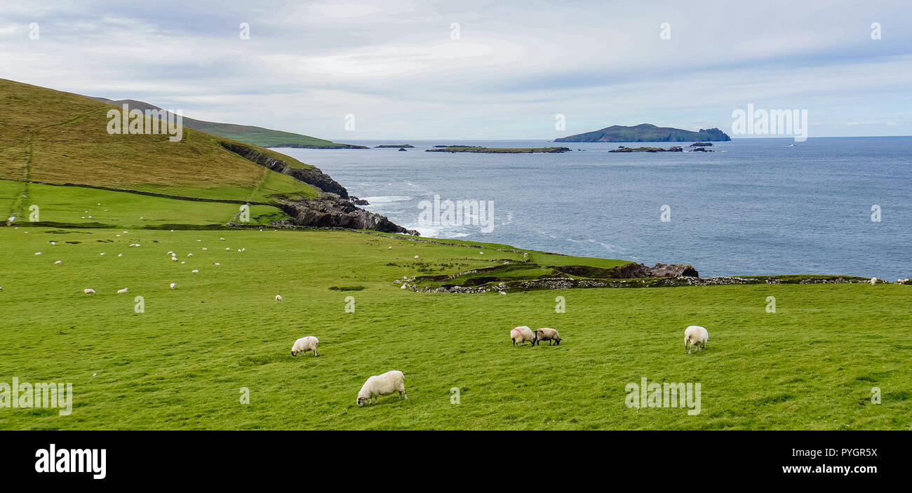 Rugged irish coast hi-res stock photography and images - Alamy