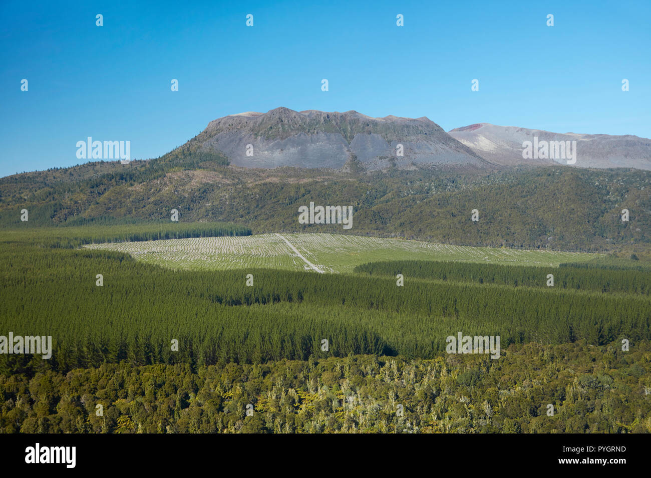 Mount Tarawera, and native and pine forests, near Rotorua, North Island ...