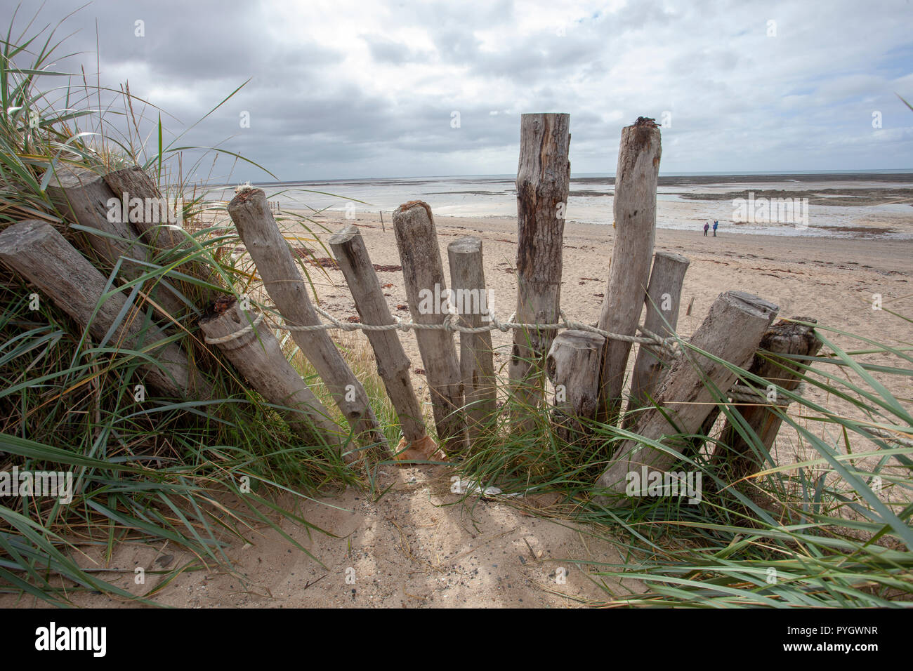 wooden fence on a Normandy beach Stock Photo - Alamy