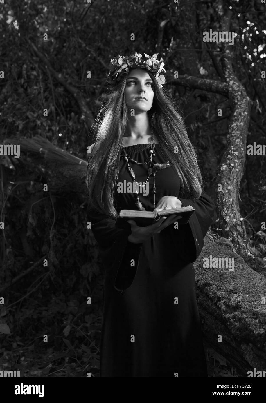 Beautiful young halloween witch wearing vintage gothic dress and ...