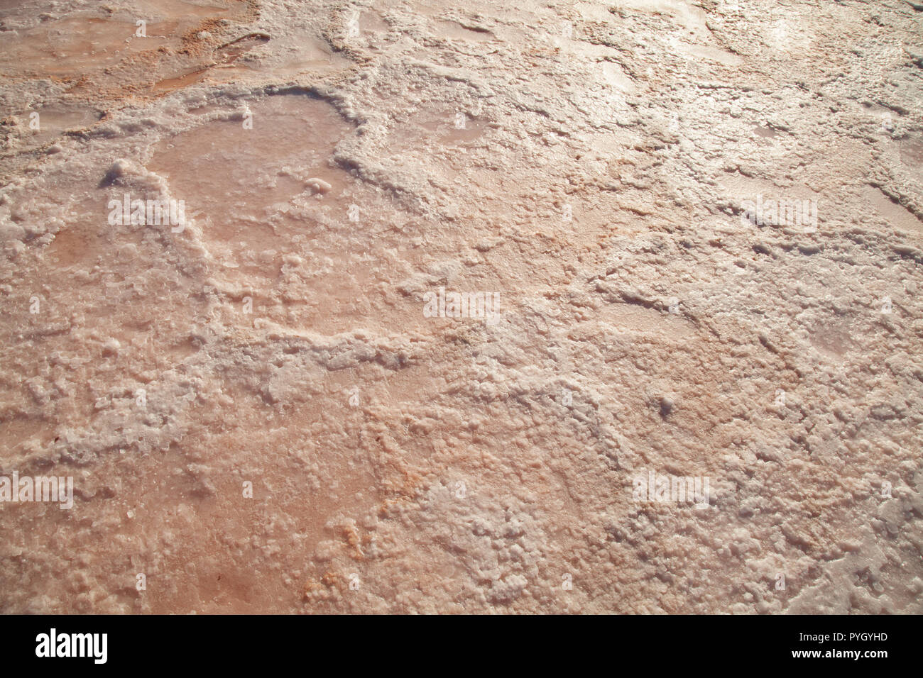 dried land after a drought landscape background Stock Photo - Alamy